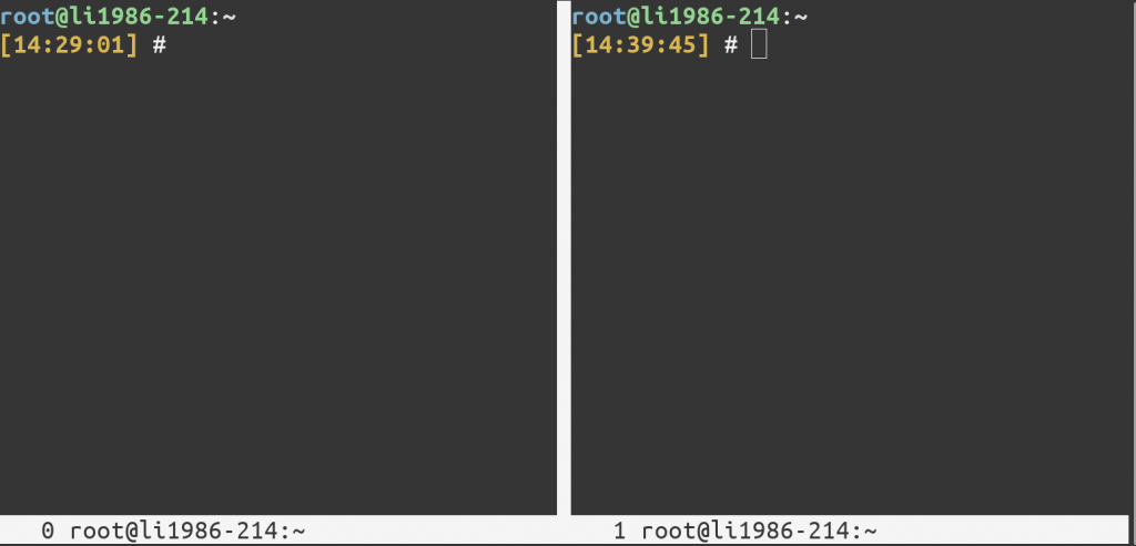 How to use the screen command in Linux? - LinuxForDevices