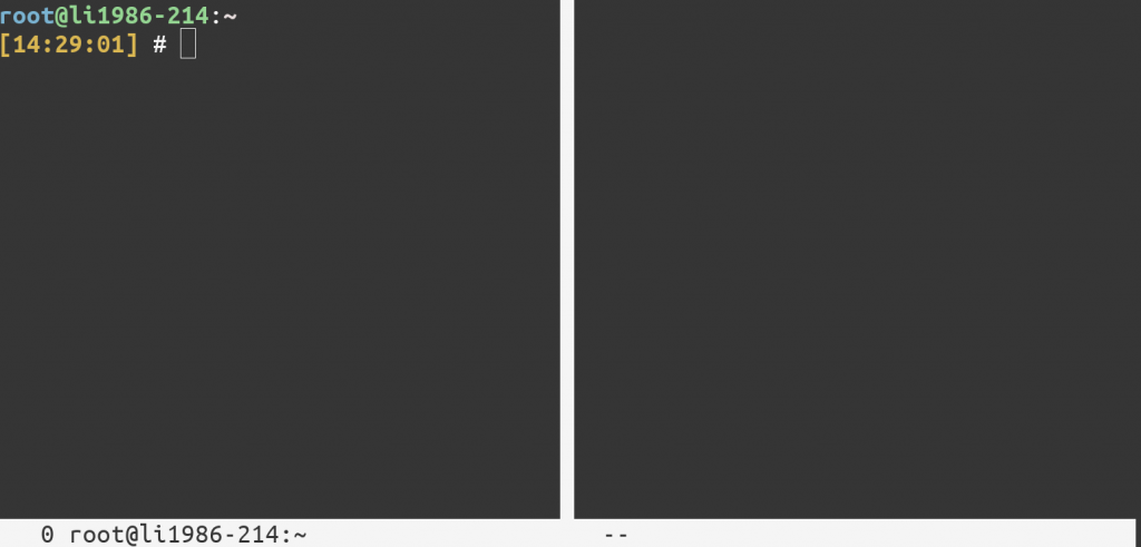 How to use the screen command in Linux? - LinuxForDevices