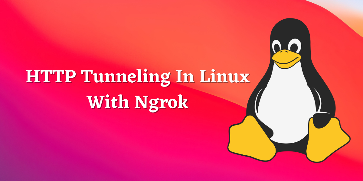 HTTP Tunneling In Linux With Ngrok - LinuxForDevices