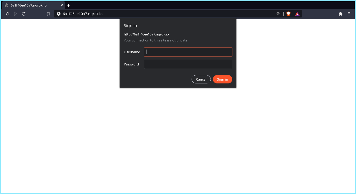 Tunneling In Linux With Ngrok Linuxfordevices