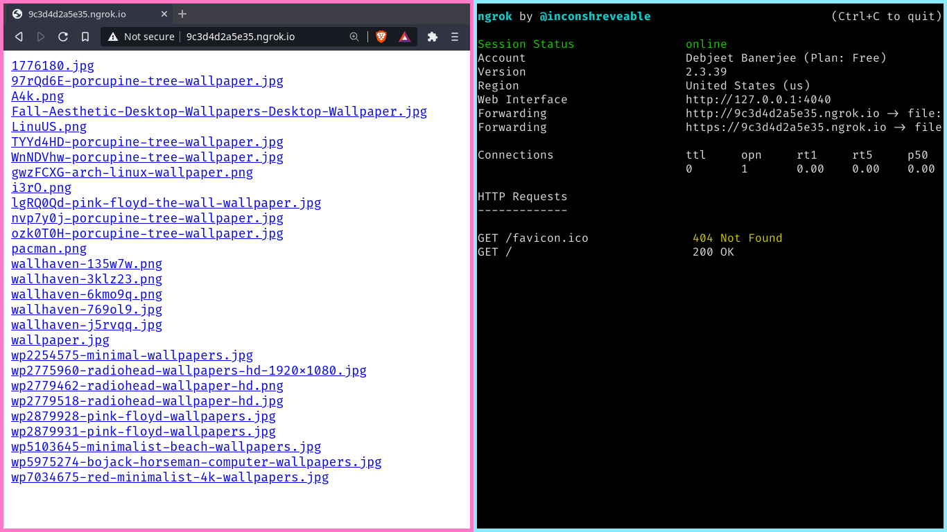 HTTP Tunneling In Linux With Ngrok - LinuxForDevices