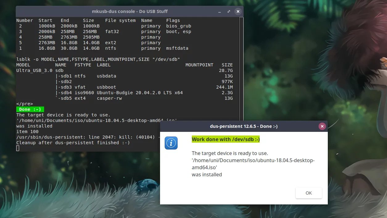 Creating Ubuntu Persistence using mkusb [easy way] - LinuxForDevices