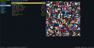 Ranger on Linux - A Complete Terminal File Manager For Linux ...