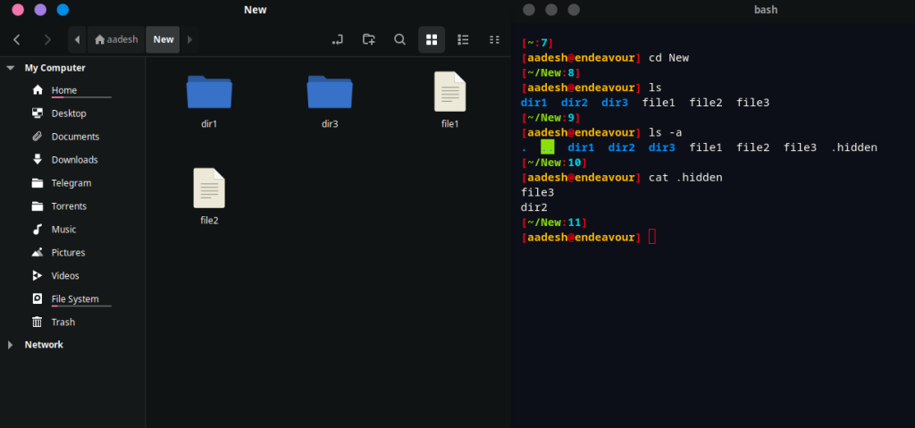 Hide Directories and Files With and Without Renaming Them on Linux - LinuxForDevices