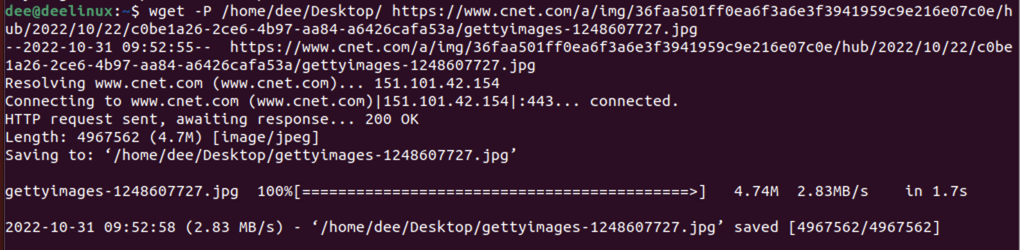 How To Download A File On Ubuntu Linux Using The Command Line ...