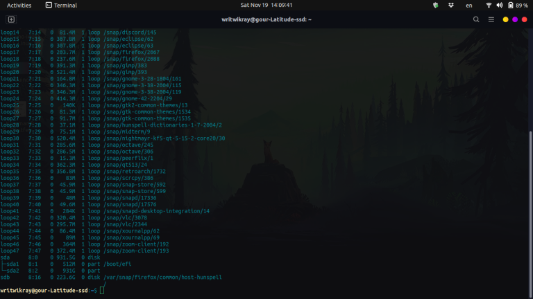 How to use the lsblk and the blkid commands on Linux - LinuxForDevices