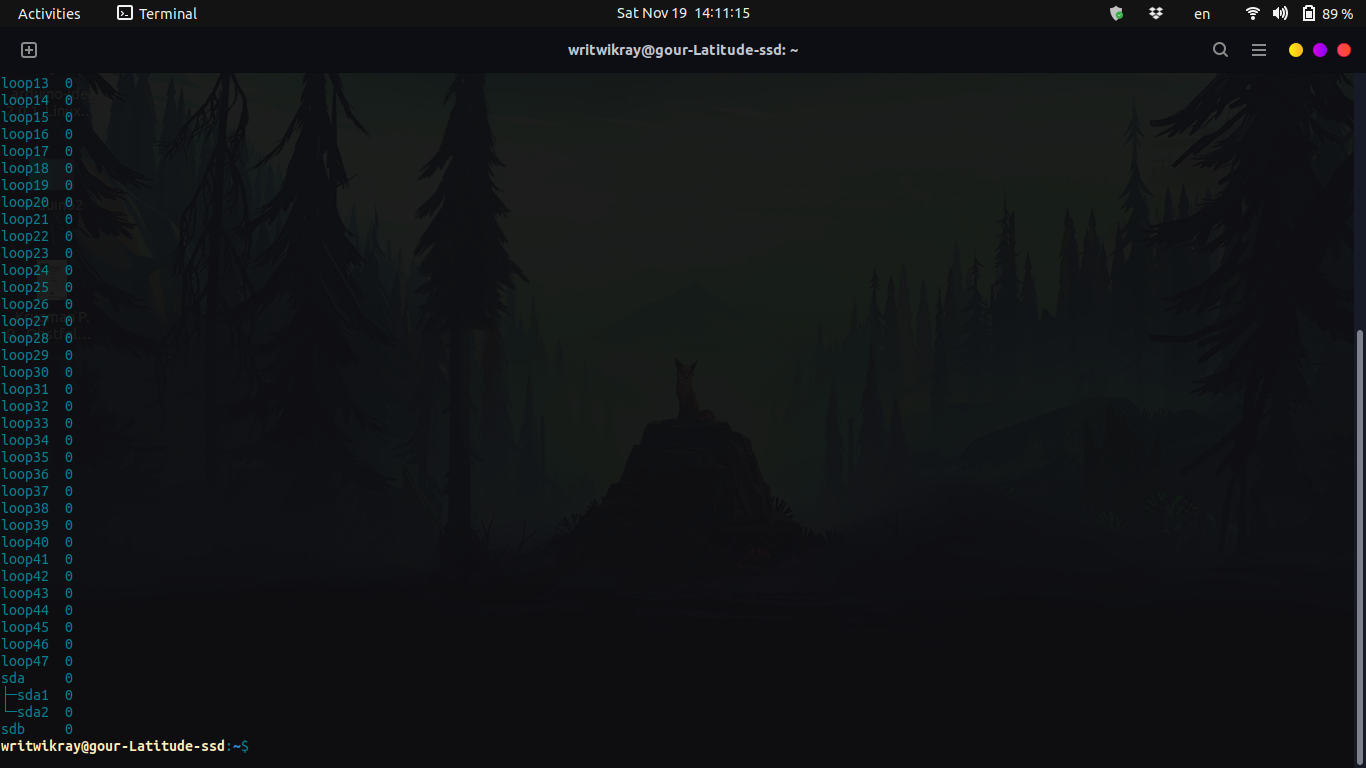How to use the lsblk and the blkid commands on Linux - LinuxForDevices