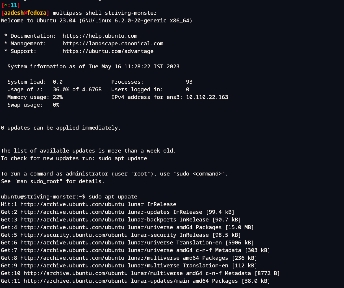 Multipass A Guide To Installing And Running Ubuntu Instances On Linux Linuxfordevices