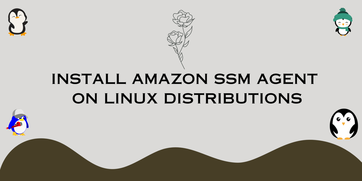 Amazon-ssm-Agent Complete Installation guide on Linux - %sitename