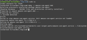 Amazon-ssm-Agent Complete Installation guide on Linux - %sitename