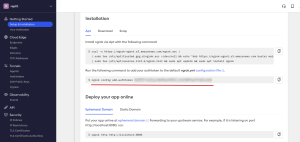 How to install Ngrok on Kali Linux - LinuxForDevices