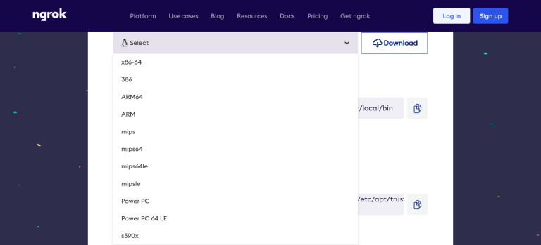 How to install Ngrok on Kali Linux - LinuxForDevices